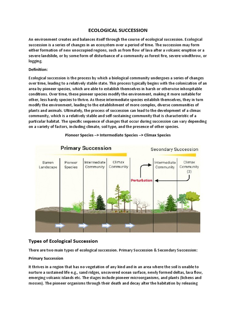 Ecological Succession | PDF | Ecology | Ecosystem