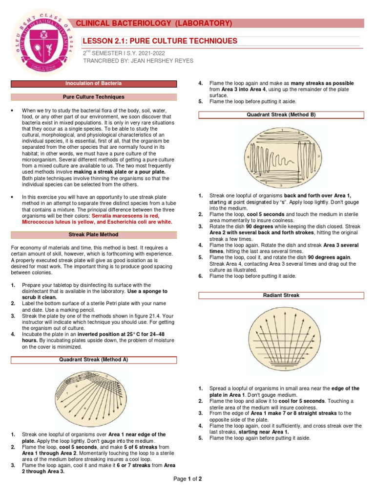 Laboratory 2.1 Pure Culture Techniques | PDF