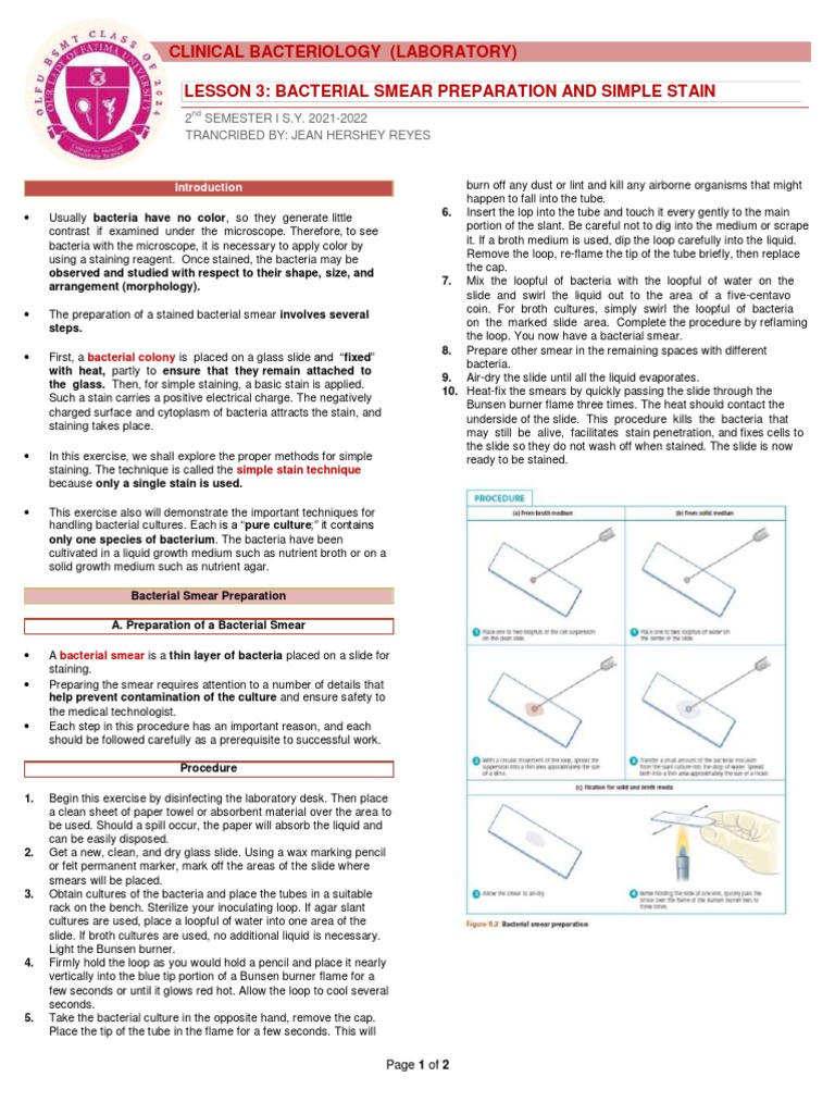 Laboratory 3 Bacterial Smear Preparation and Simple Staining | PDF Laboratory 3 Bacterial Smear Preparation and Simple Staining | PDF