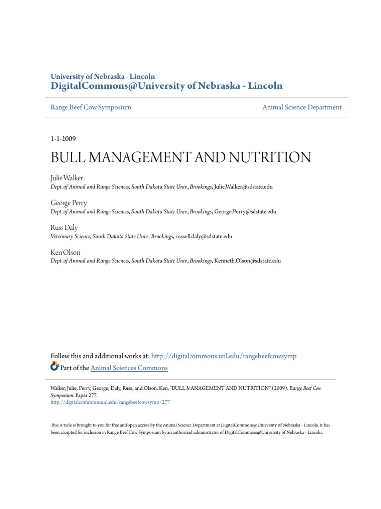 7 Bull Management Nutrition 002 | PDF | Cattle | Dairy Cattle