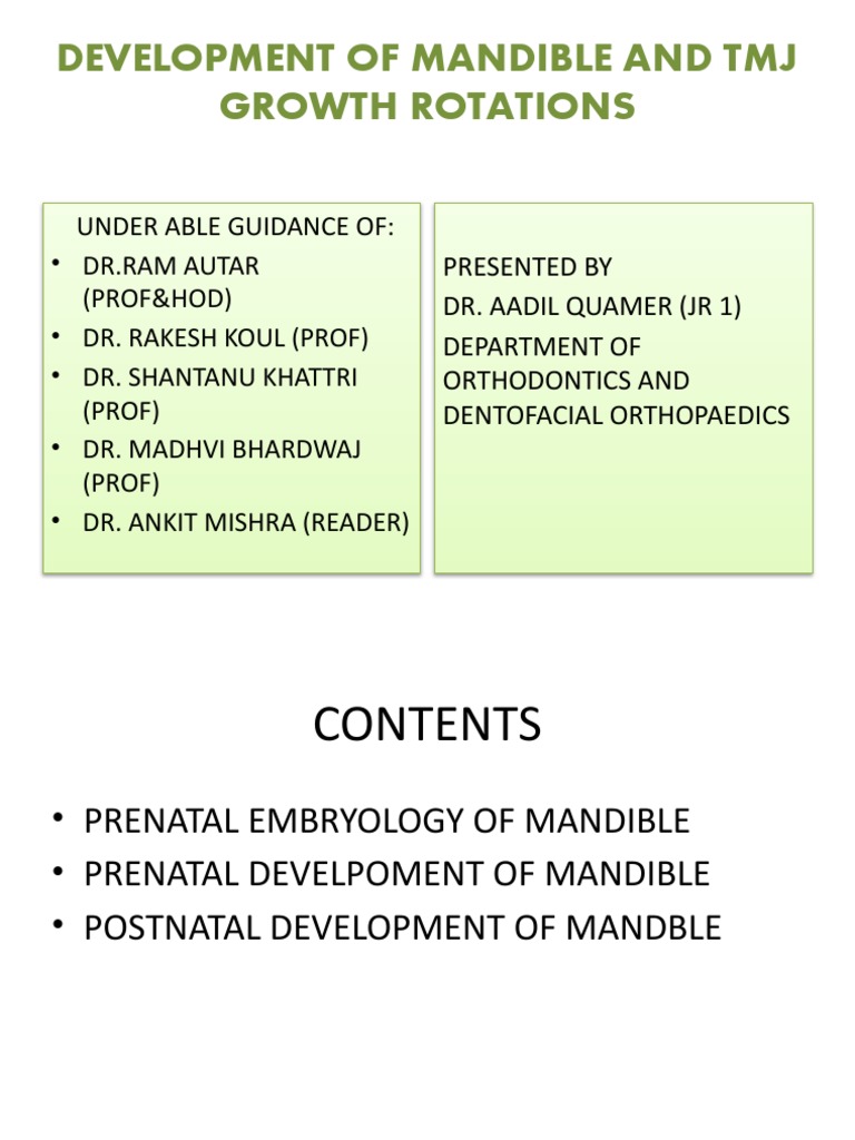 Mandible and TMJ Growth Development | PDF