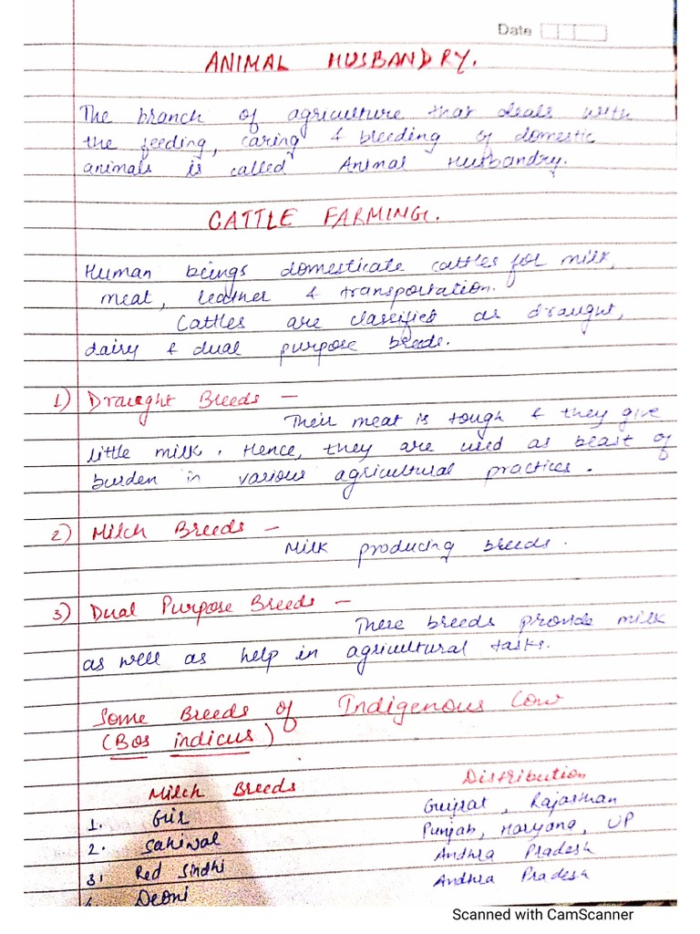 ANIMAL HUSBANDRY (FIITJEE Notes) | PDF