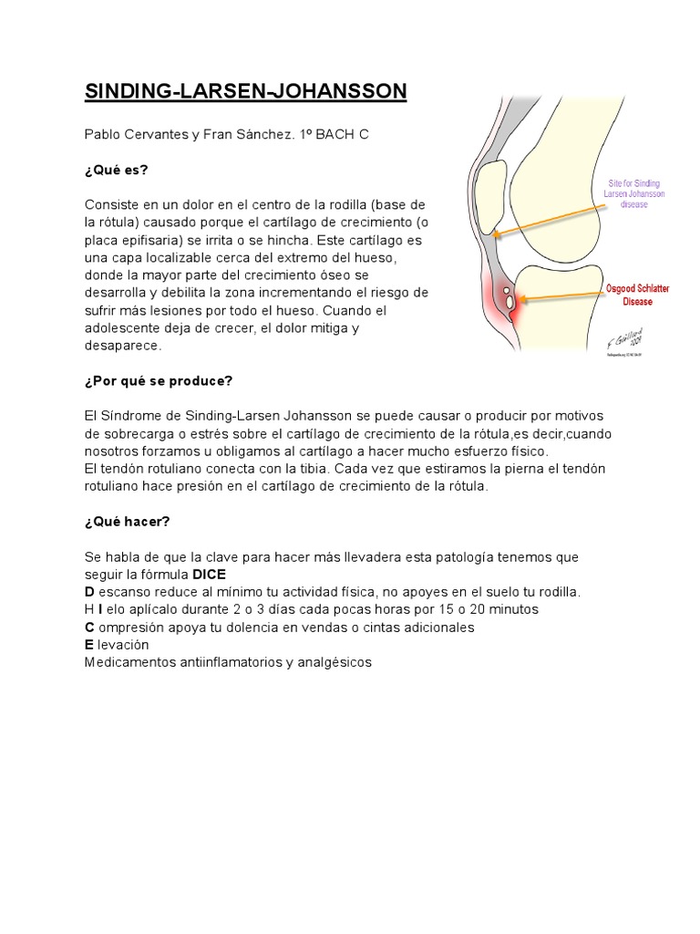 Sinding Larsen Johansson PDF | PDF