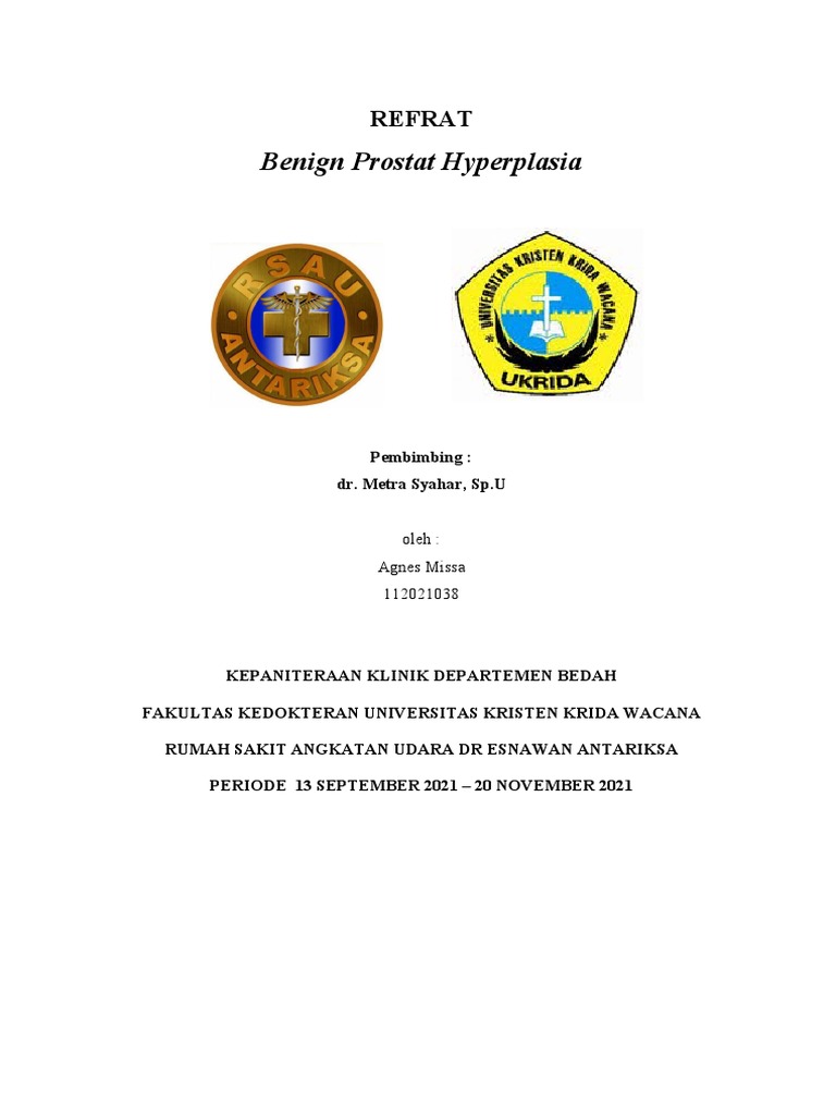 Makalah Referat BPH-Agnes Missa | PDF