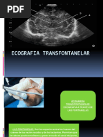 Manual de Protocolos Ultrasonido Doppler | PDF | Carrera | Medicina CLINICA