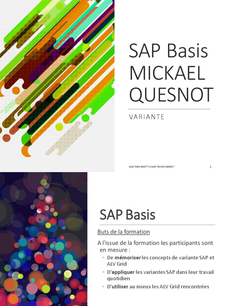 SAP Basis Variantes | PDF