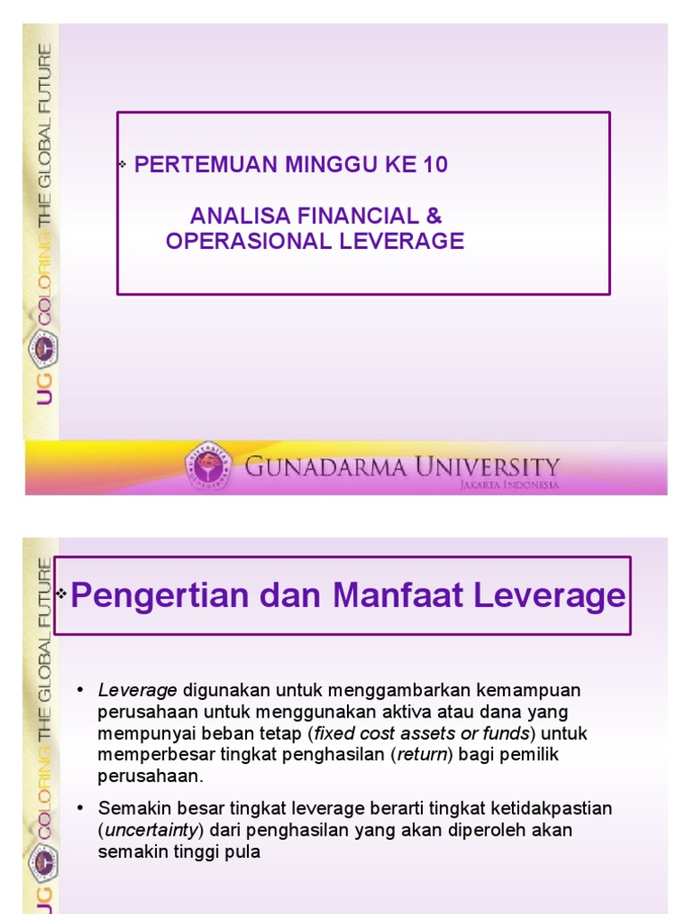 m10 Analisa Leverage | PDF