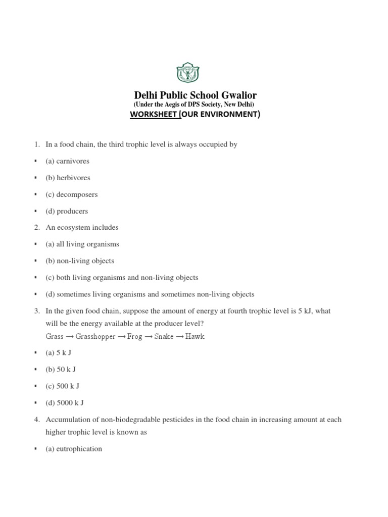 Our Environment Worksheet | PDF | Ecosystem | Food Web