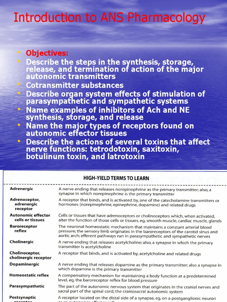 Introduction To ANS Pharmacology | PDF | Autonomic Nervous System ...