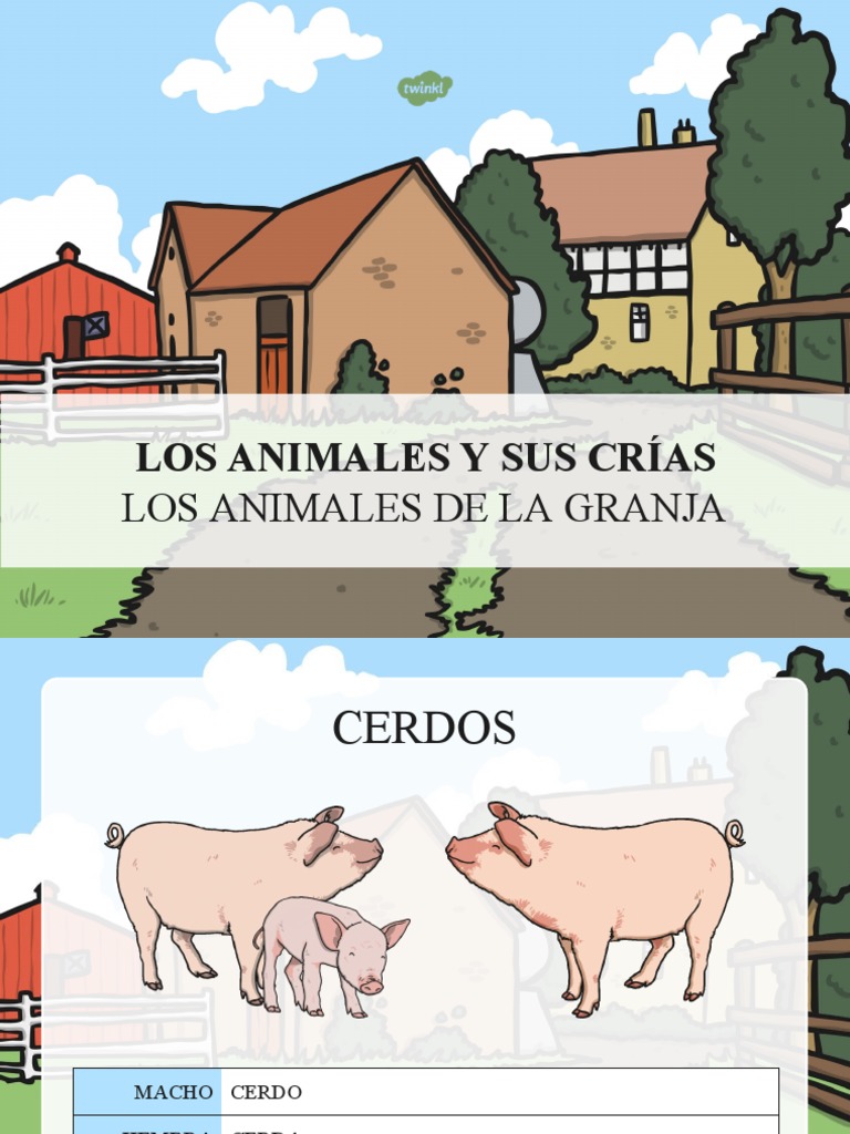 Hembra y Macho Animales de La Granja | PDF