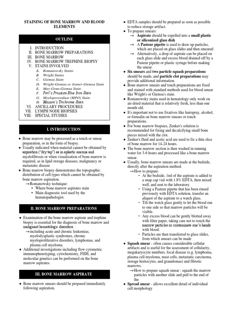 Bone Marrow Staining Procedures Guide | PDF