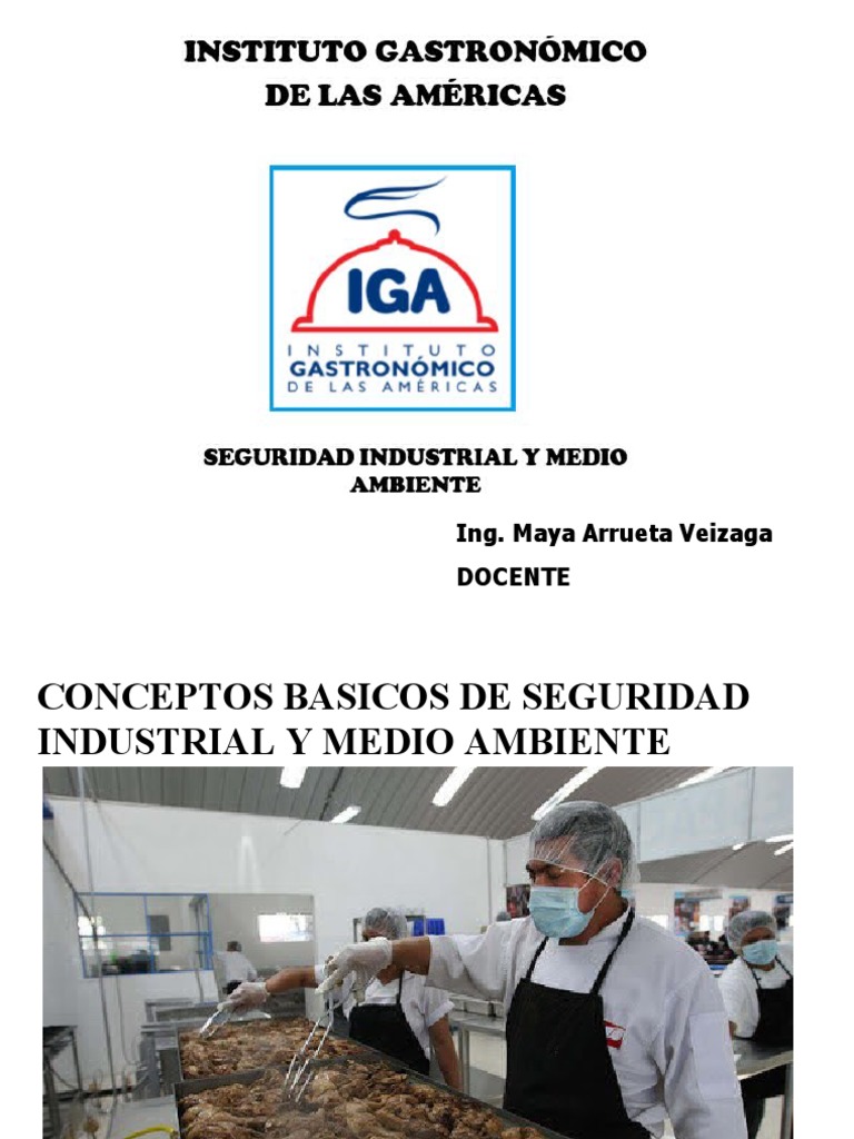Conceptos Basicos de Seguridad Industrial | PDF