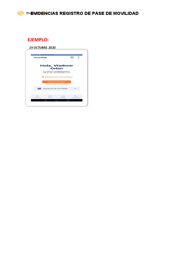Formato Pase de Movilidad | PDF