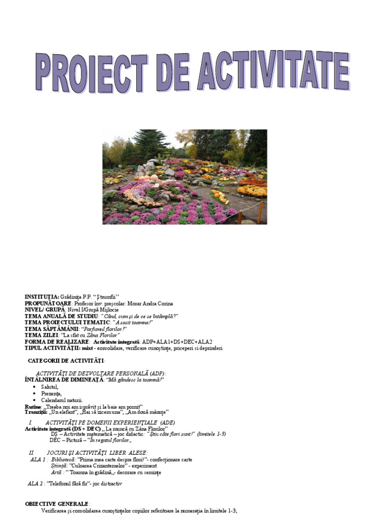 BUN Proiect Inspectie DS + DEC | PDF