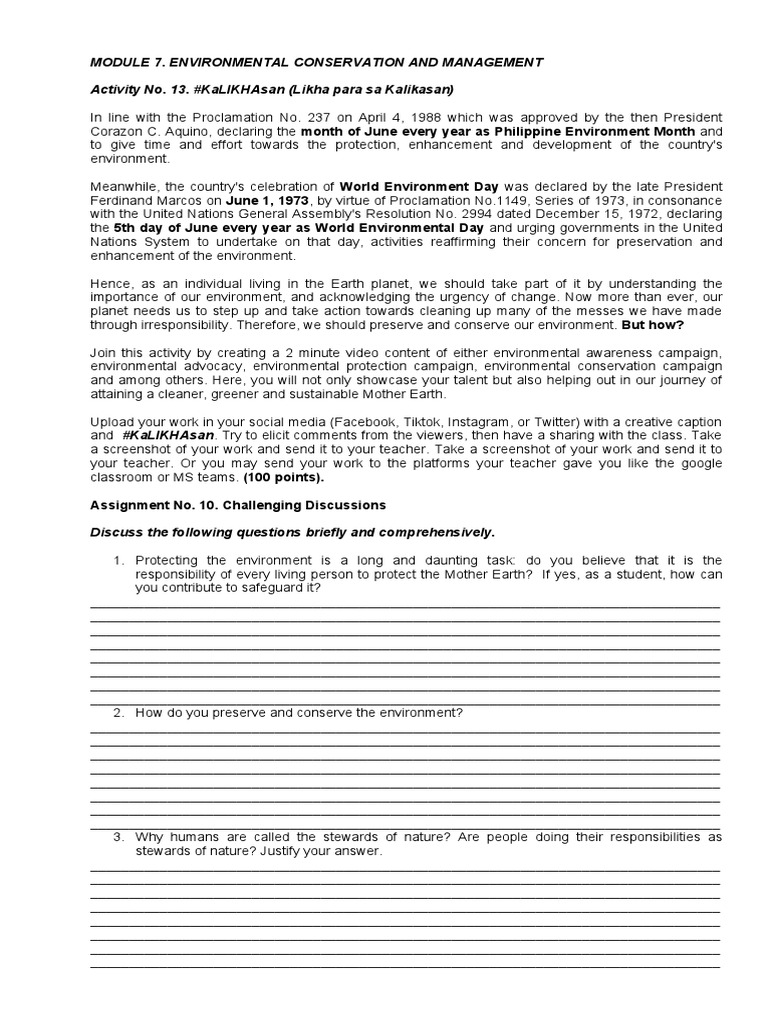 Im 7 Activities and Assignments | PDF