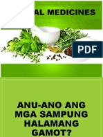 Mga Halamang Gamot | PDF