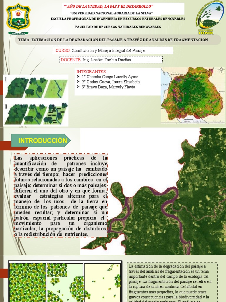Estimacion de Degradacion Grupo 5 | PDF
