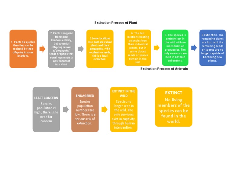 Extinction Process of Plant | PDF | Plants | Extinction