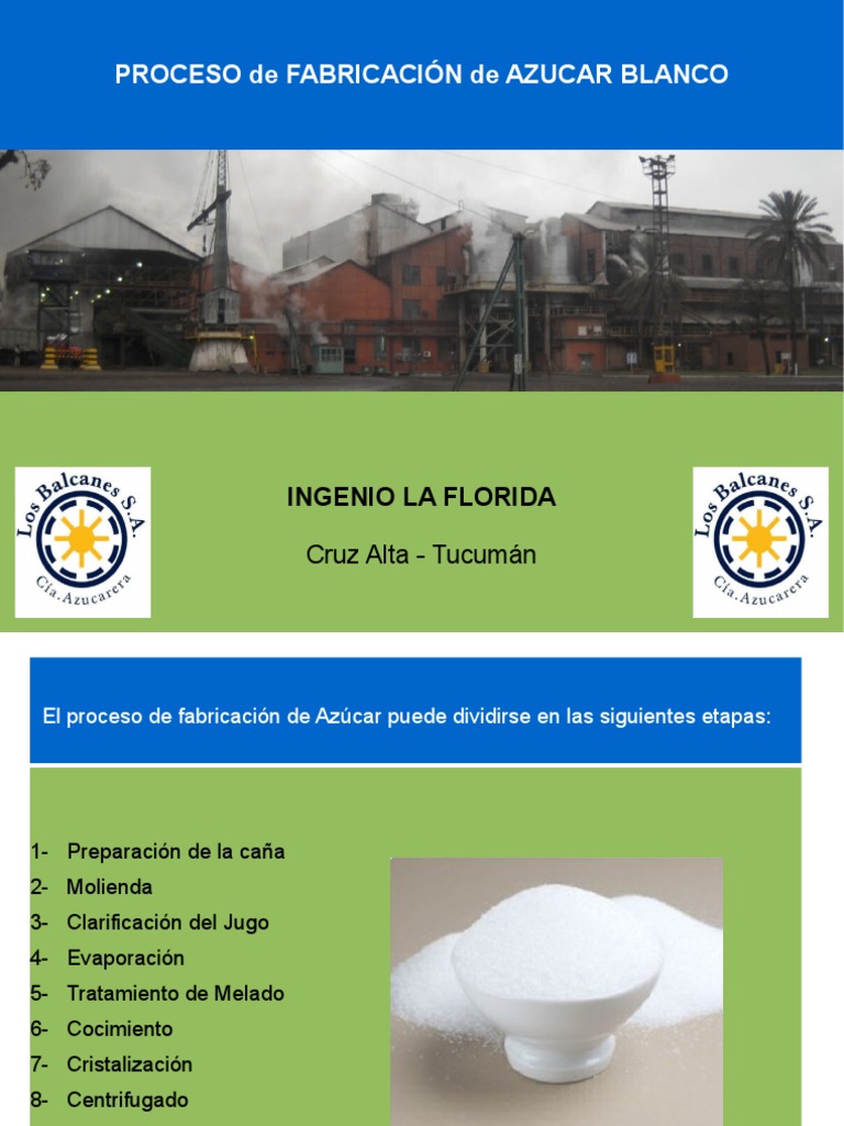 Proceso de Fabricación de Azucar Blanco | PDF