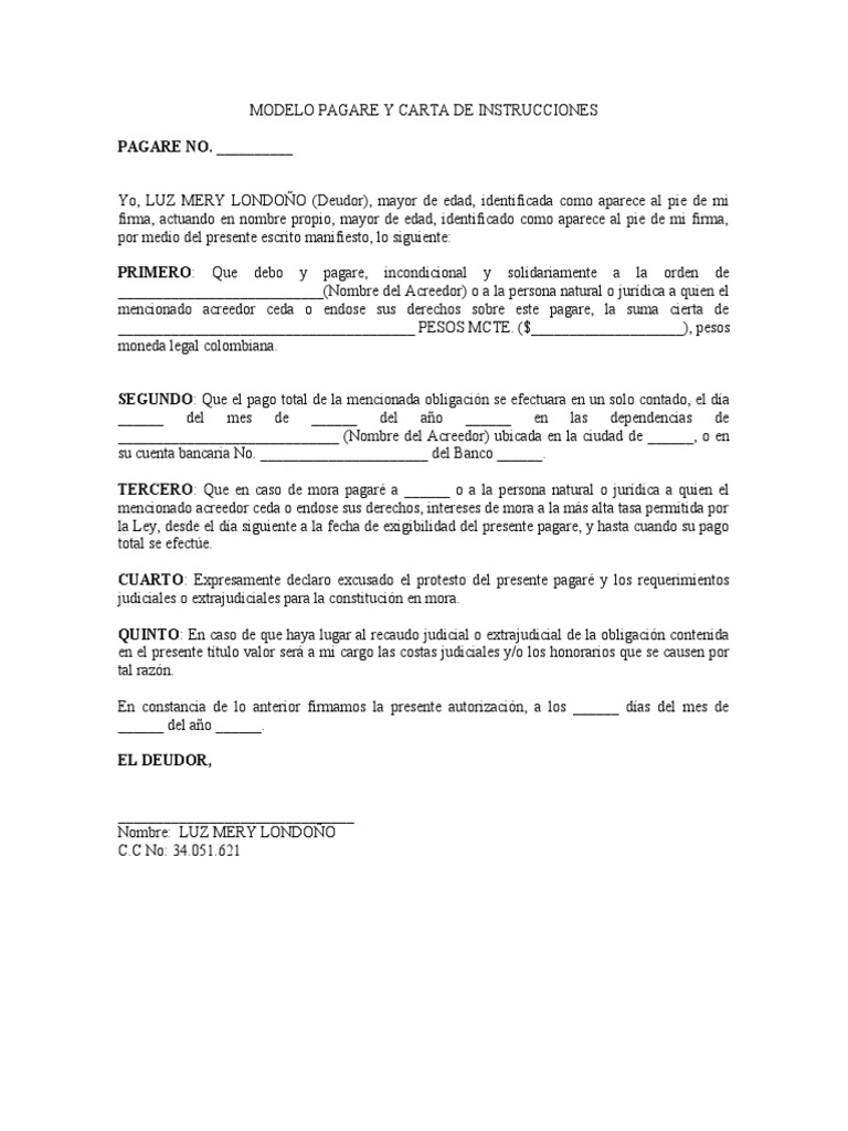 MODELO-PAGARE-Y-CARTA-DE-INSTRUCCIONES (1) MERY | PDF