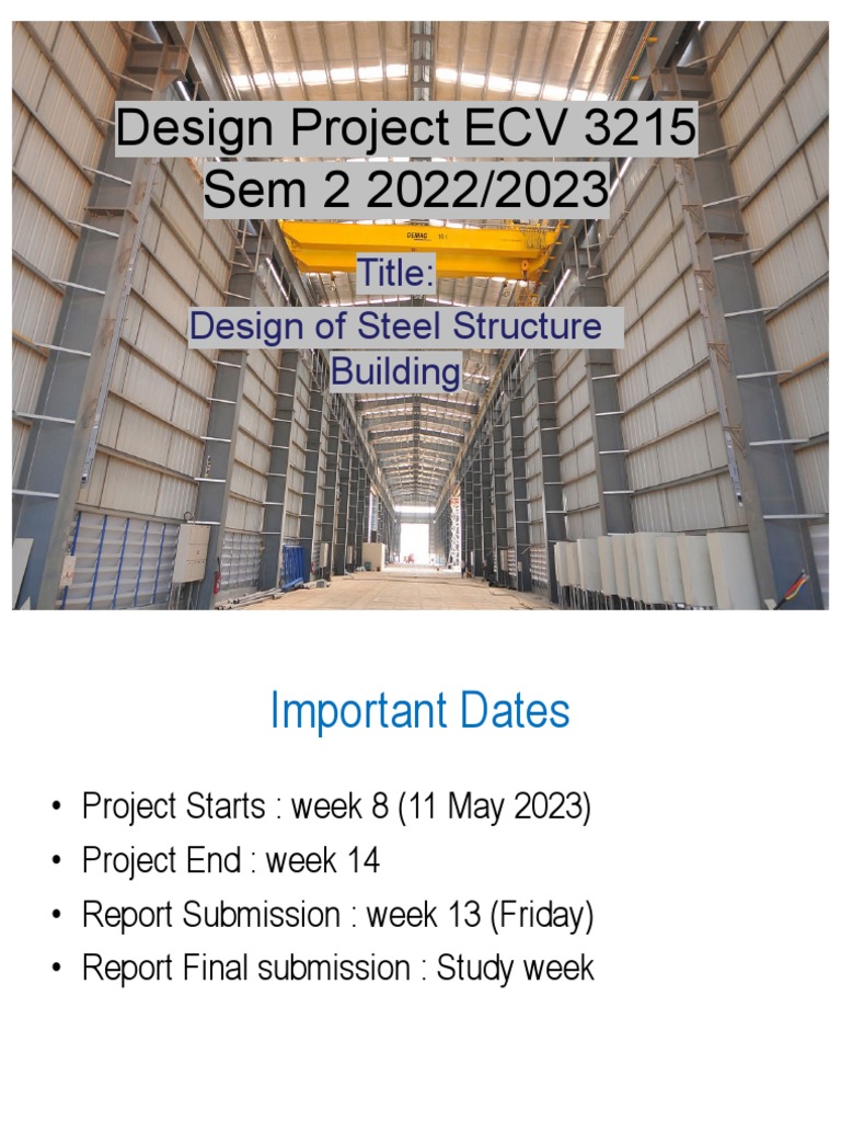 Steel Design Project 2023 | PDF | Beam (Structure) | Column