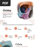 Suturas Do Crânio Resumo | PDF | Anatomia | Anatomia humana