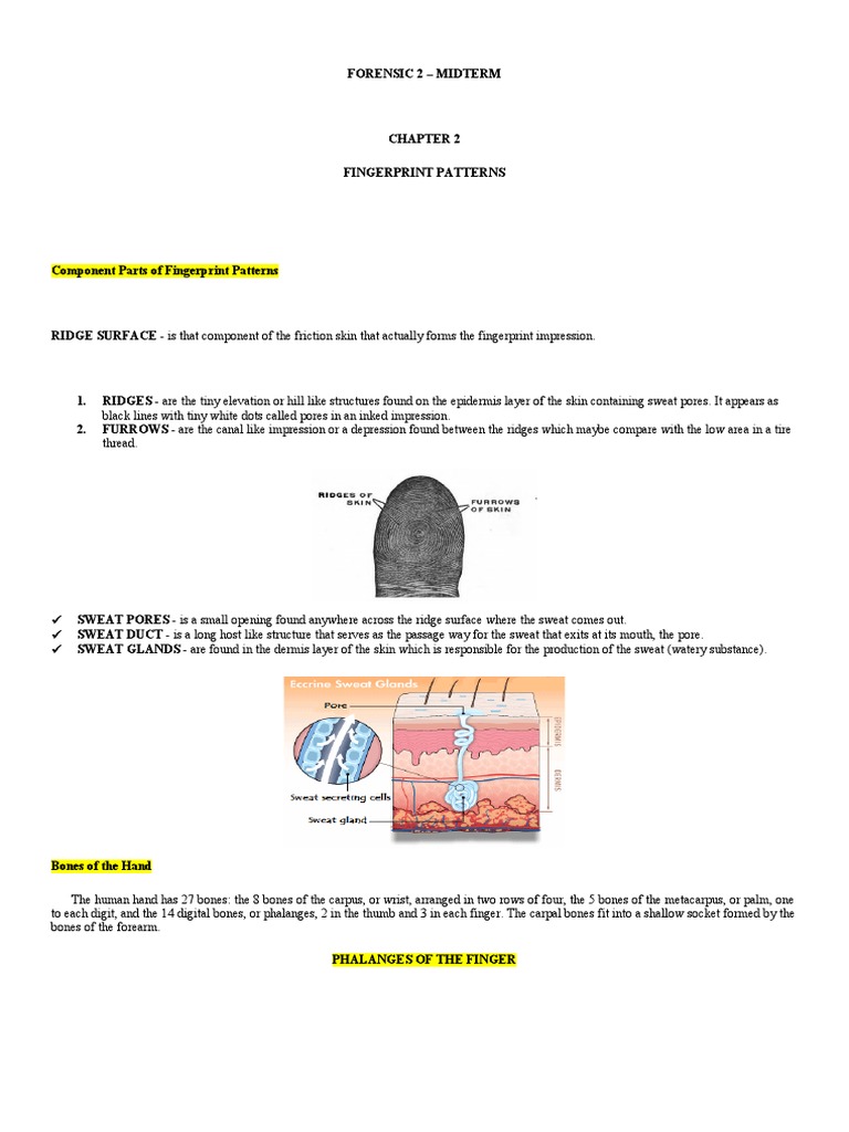 Forensic 2 - Midterm - Chapter 2 | PDF | Fingerprint | Hand