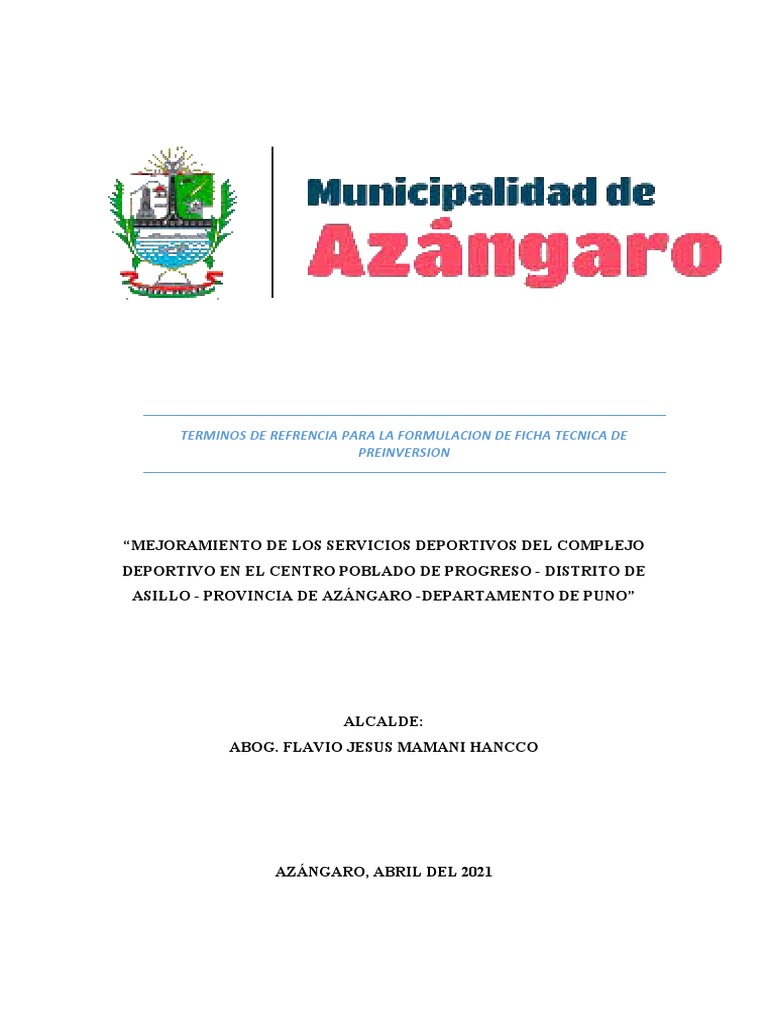 TDR Final Progreso | PDF | Presupuesto | Infraestructura