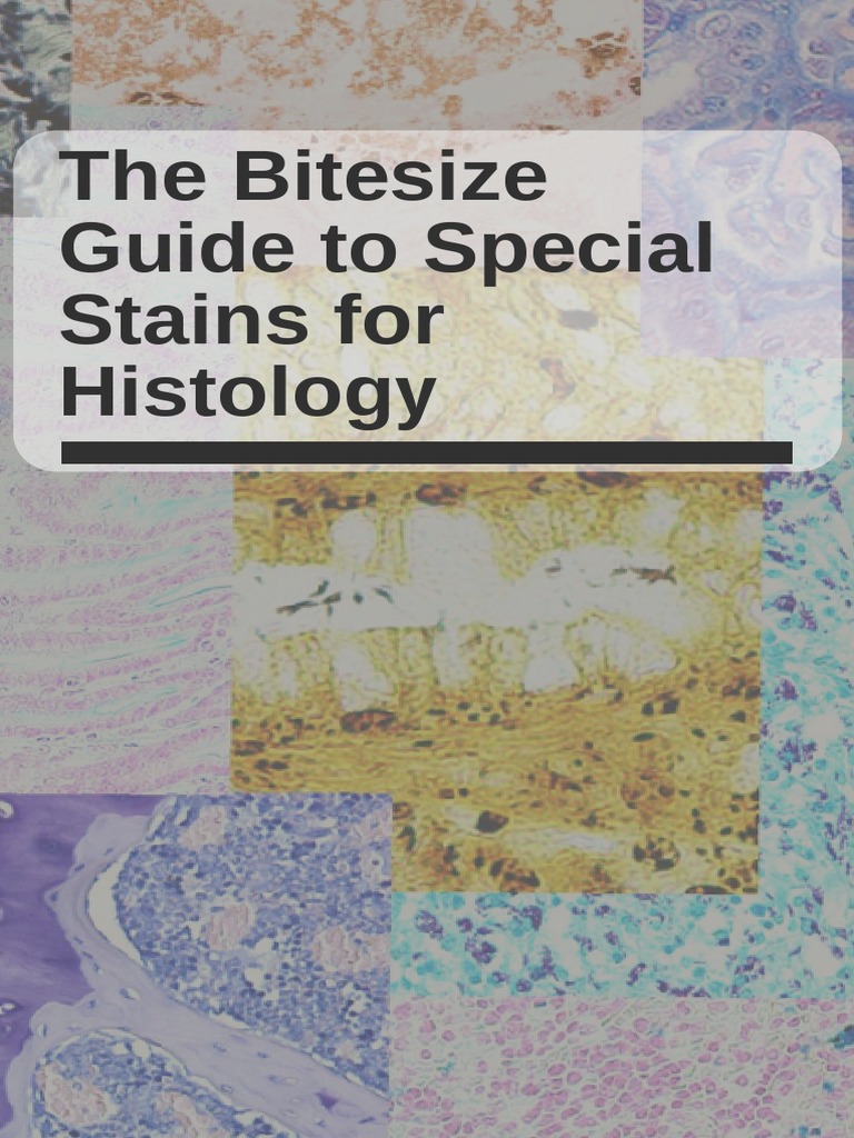 Guide-to-Special-Stains-for-Histology-Bitesize-Bio | PDF | Staining ...