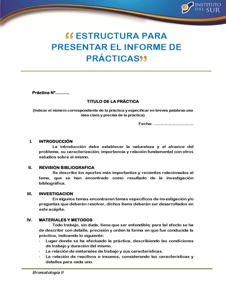 B1 - Estructura para Presentar El Informe de Practicas | PDF | Science