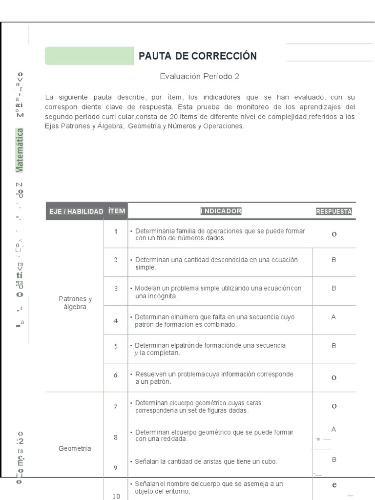 Pauta de Correccion | PDF