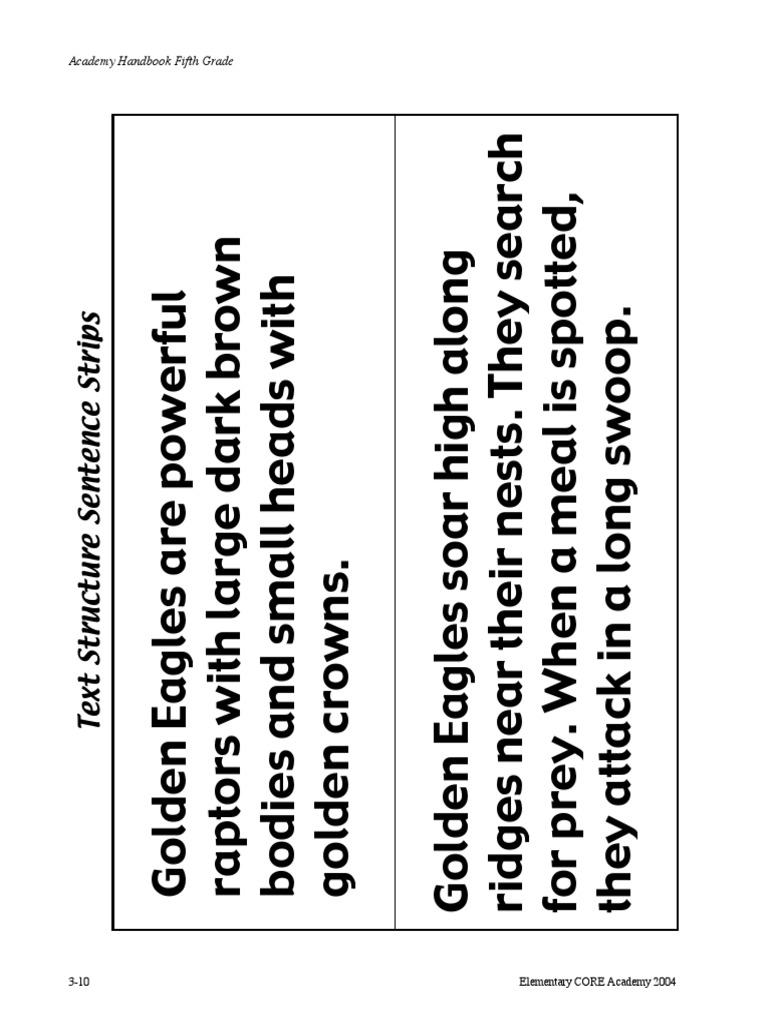 Text Structure Sentence Strips | PDF