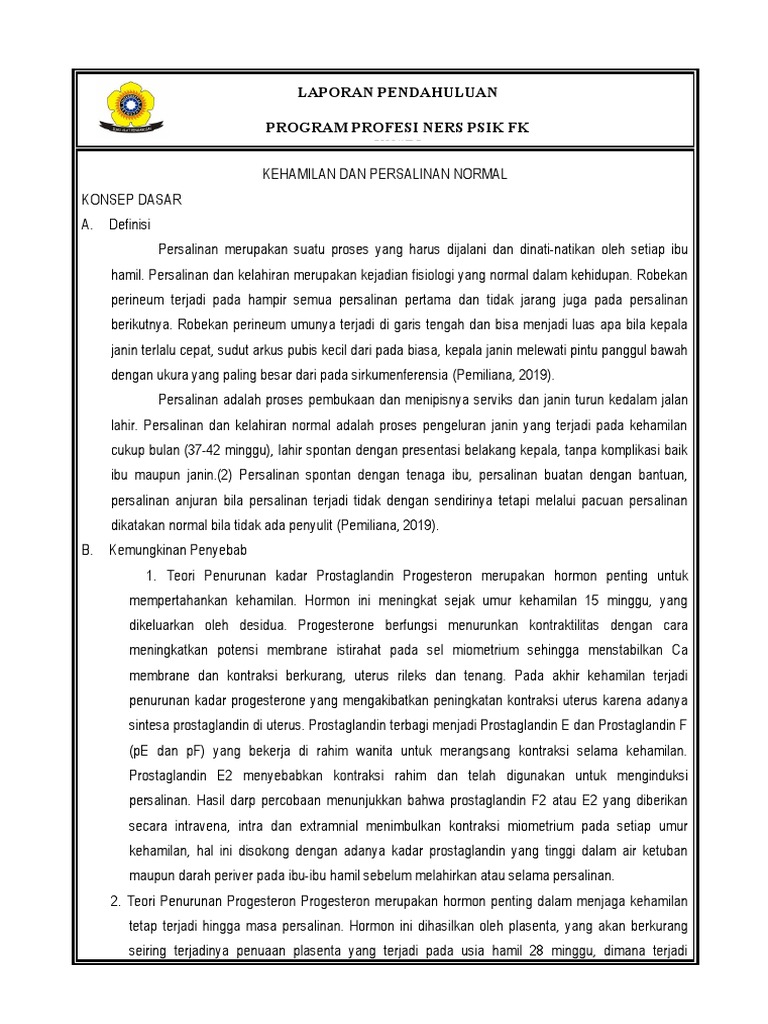 LP Persalinan Normal | PDF
