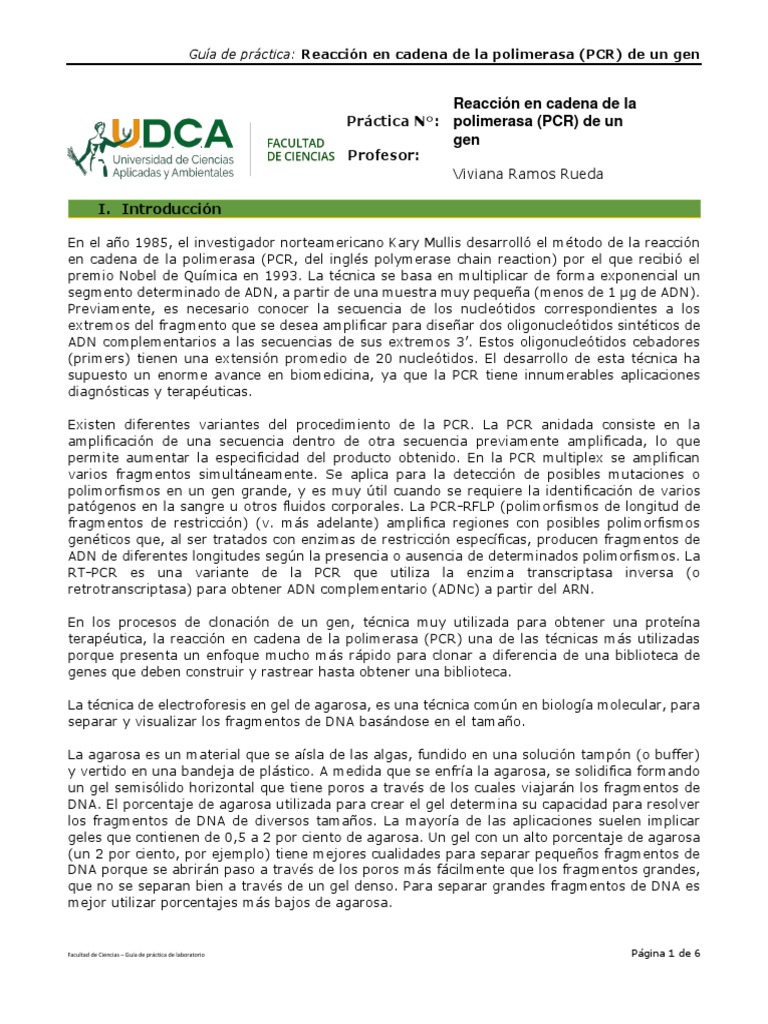 Guía De Laboratorio De Pcr Y Electroforesis 2023 Pdf Reacción En