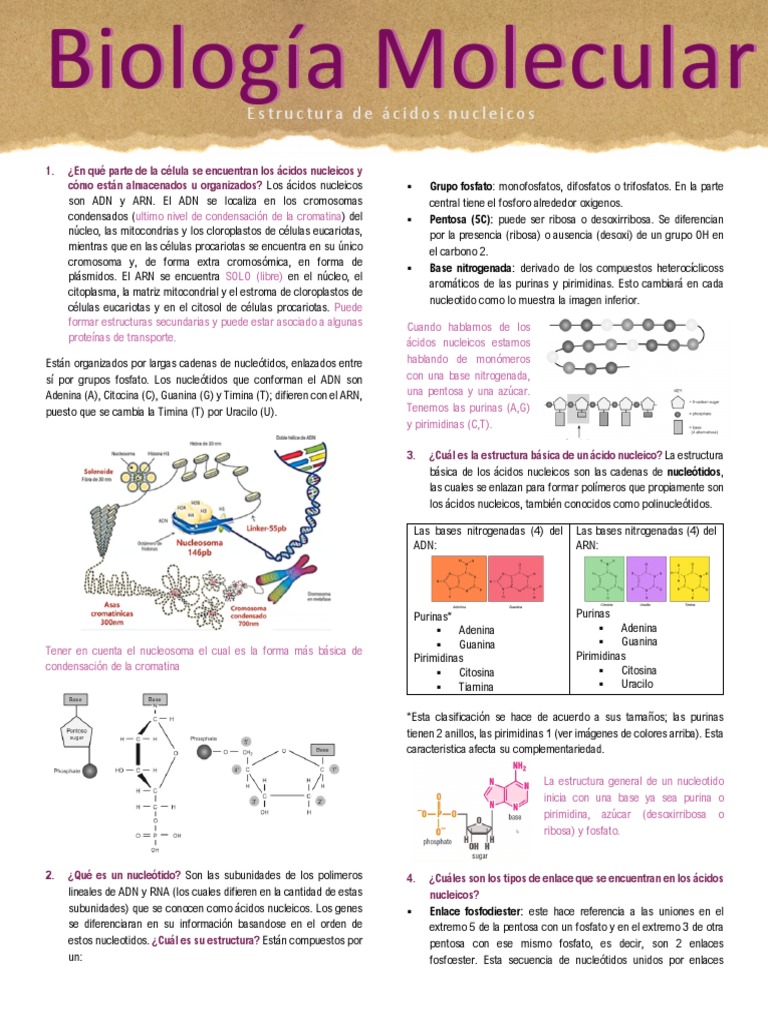 Biomol Completo | PDF