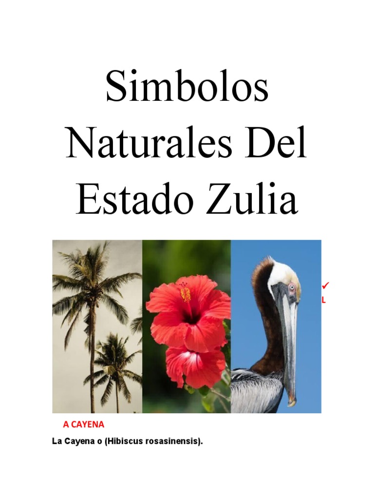 Libro de Simbolos Naturales Del Zulia | PDF | Coco | Venezuela