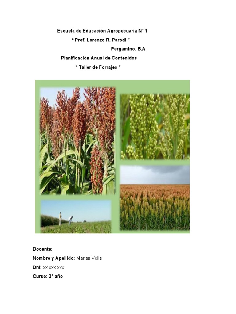 Planificacion Anual Forrajes | PDF