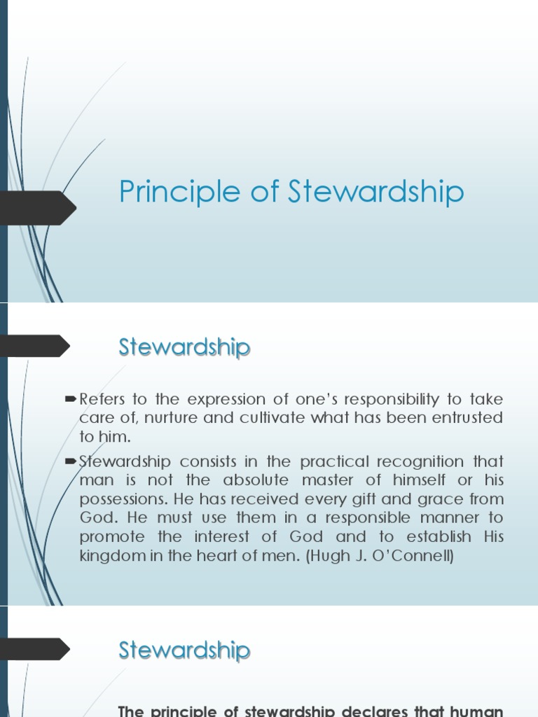 05 Principle of Stewardship | PDF