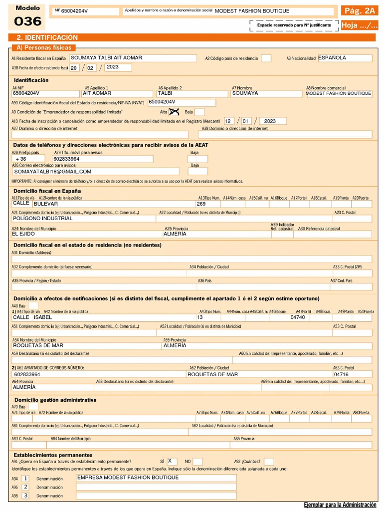 Modelo 036 Cif | PDF
