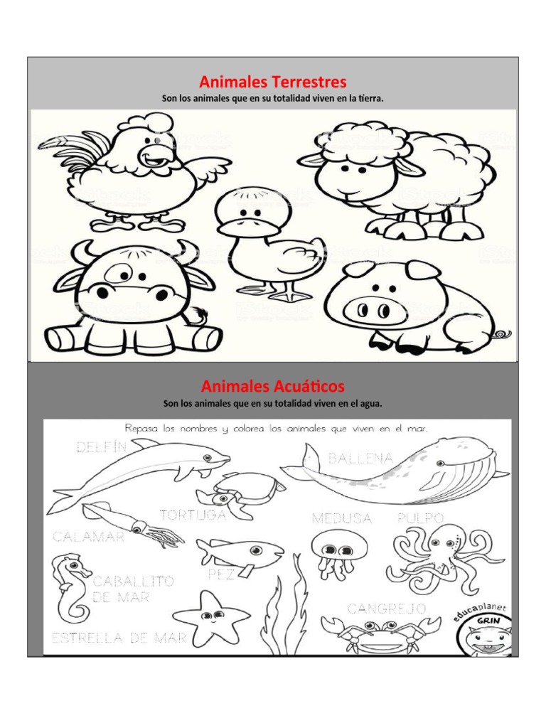 Animales Terrestres y Acuáticos para Colorear | PDF