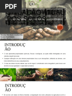 Sementes Recalcitrantes e Ortodoxas | PDF | Semente | Umidade