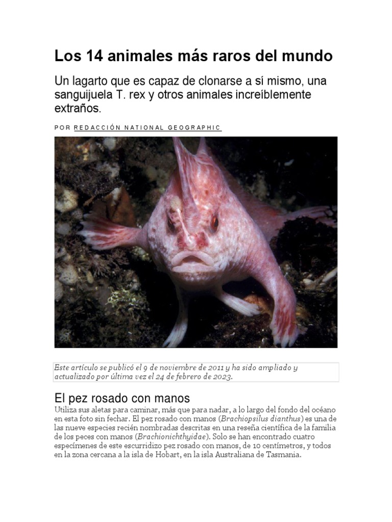 Los 14 Animales Más Raros Del Mundo | PDF | Organismos