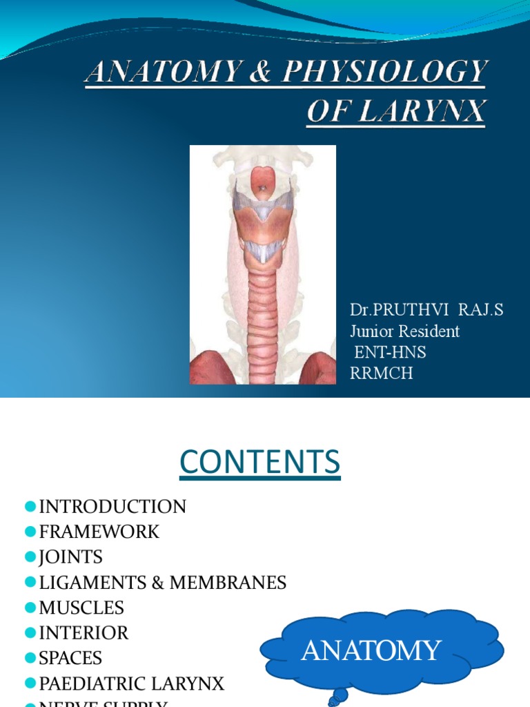 Physiology of Larynx | PDF | Larynx | Human Head And Neck