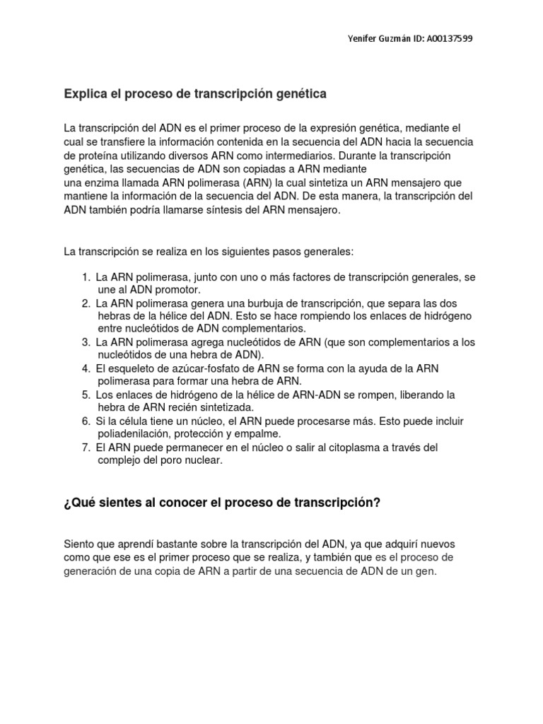 Explica El Proceso de Transcripción Genética | PDF