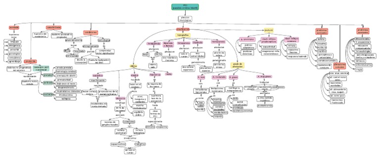 Mapa PCI | PDF | Ciencia cognitiva | Especialidades Medicas