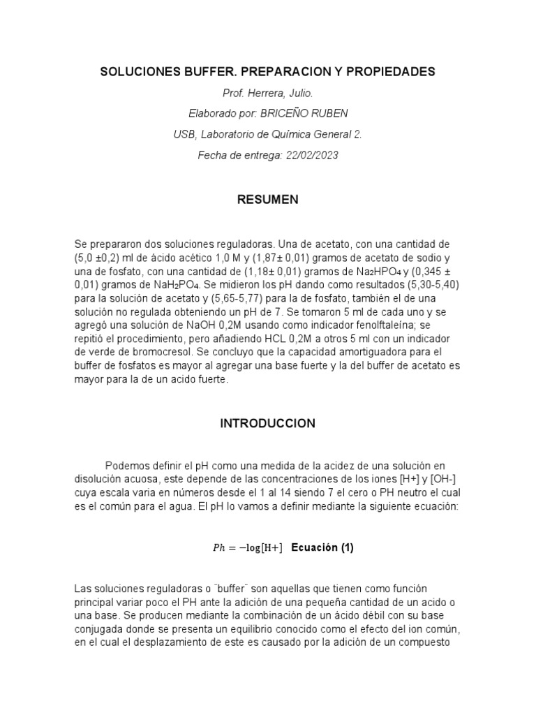 Soluciones Buffer Practica # 3 | PDF