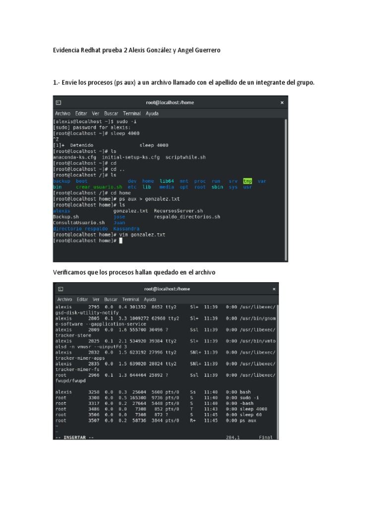 Prueba RedHat-V16 (5) | PDF | Archivo de computadora | Arquitectura de ...