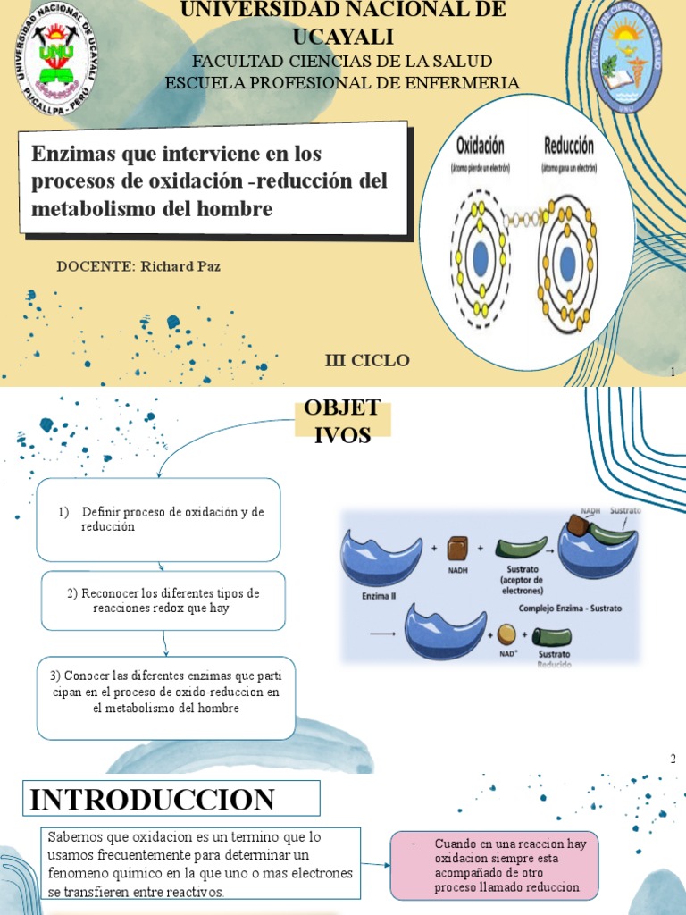 de Oxido-Reduccion | PDF | Redox | Nicotinamida adenina dinucleótida