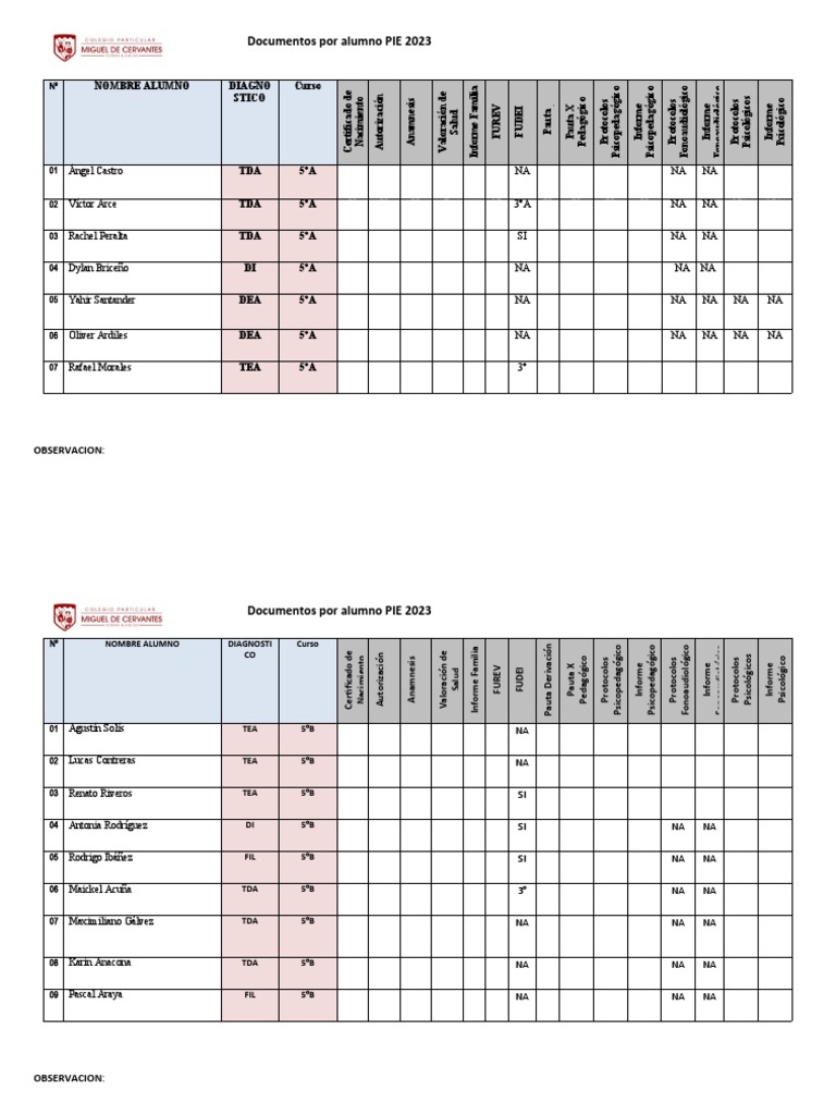 Check List Documentacion Pie 2023 | PDF