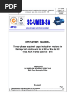 S 703 Supplementary Specification For Low Voltage Motors | PDF ...